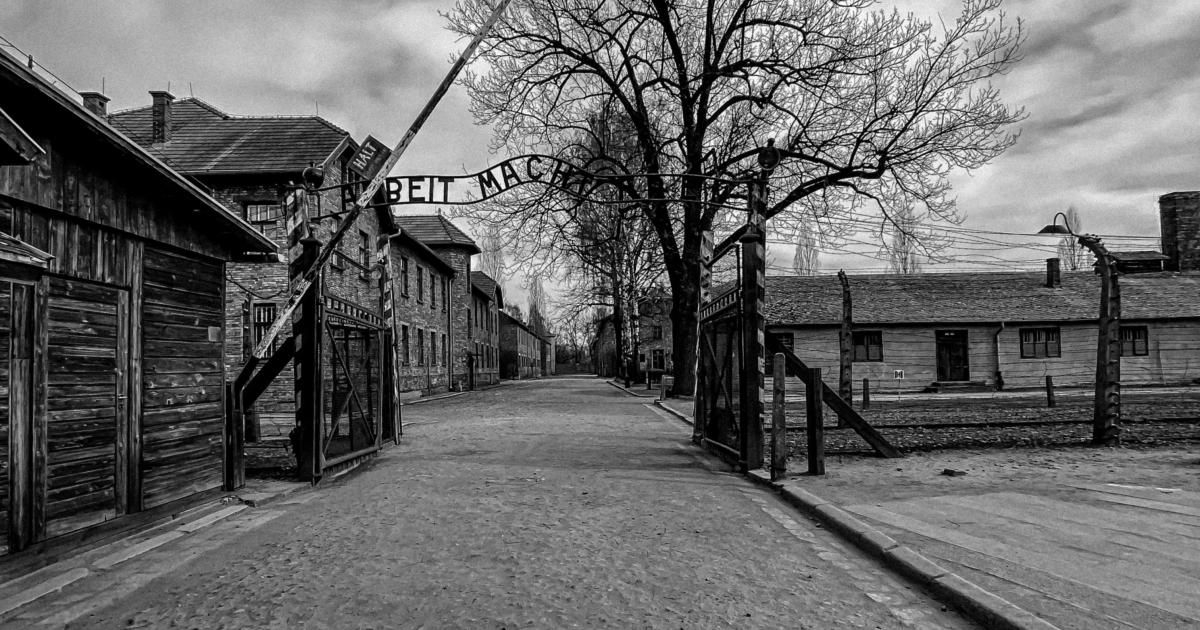 Hitlers vej til magten | Aarhus Bibliotekerne